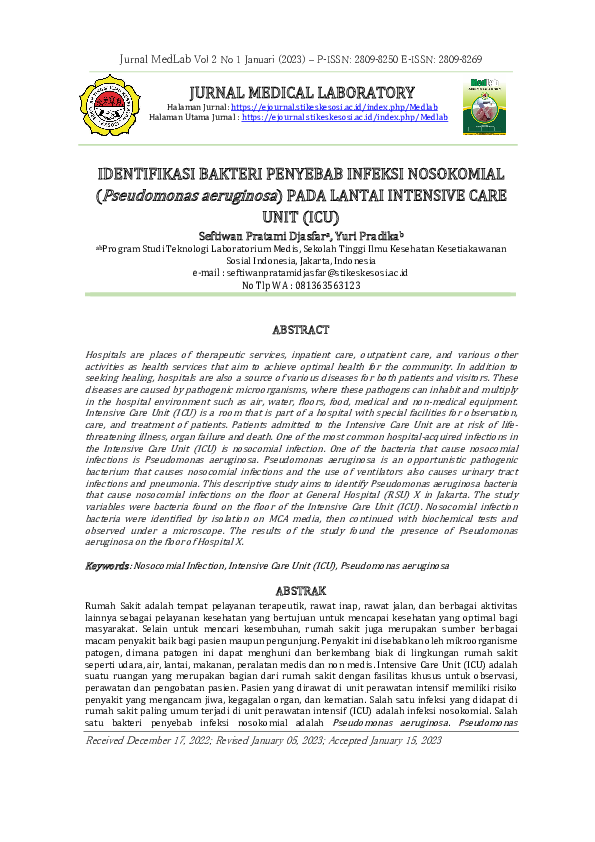 (PDF) IDENTIFIKASI BAKTERI PENYEBAB INFEKSI NOSOKOMIAL (Pseudomonas ...