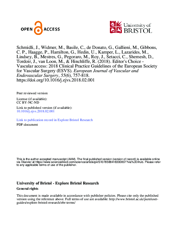 Pdf Vascular Access 2018 Clinical Practice Guidelines Of The