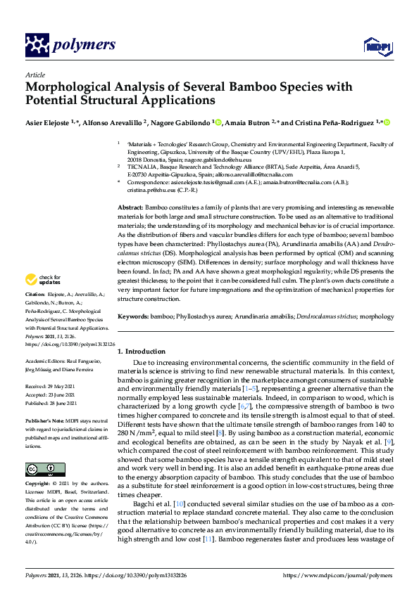 (PDF) Morphological Analysis of Several Bamboo Species with Potential Structural Applications