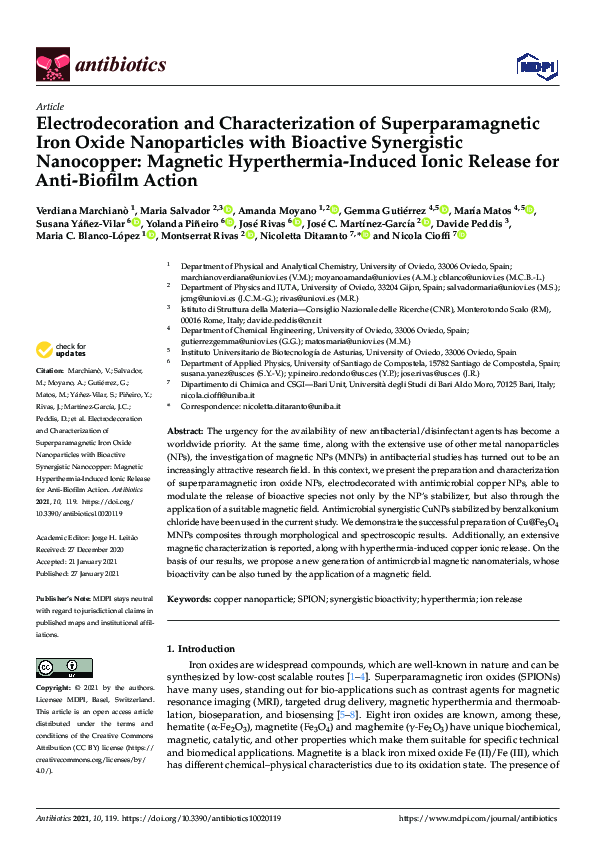 (PDF) Electrodecoration and Characterization of Superparamagnetic Iron Oxide Nanoparticles with ...