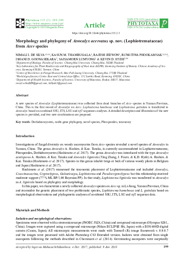 (PDF) Morphology and phylogeny of Atrocalyx acervatus sp. nov ...