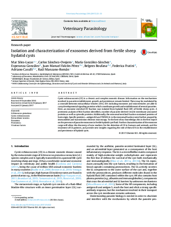 (PDF) Isolation and characterization of exosomes derived from fertile ...