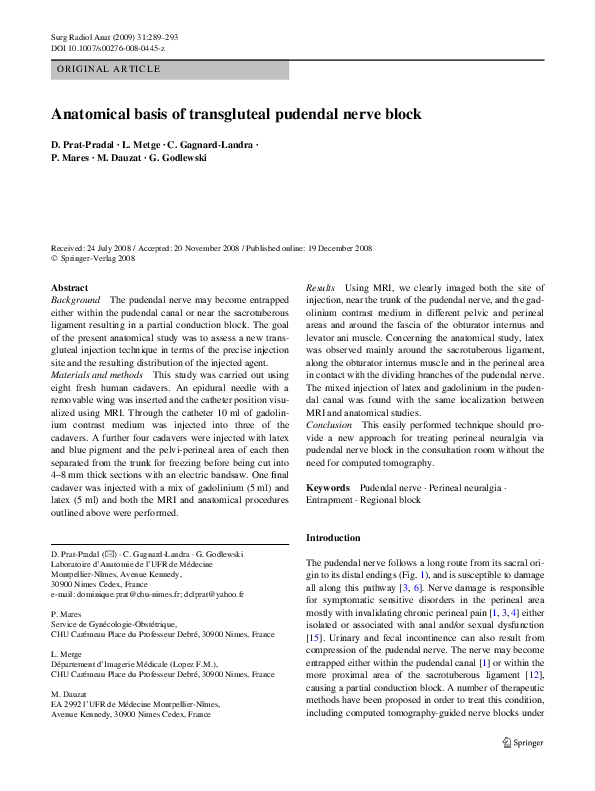 (PDF) Anatomical basis of transgluteal pudendal nerve block