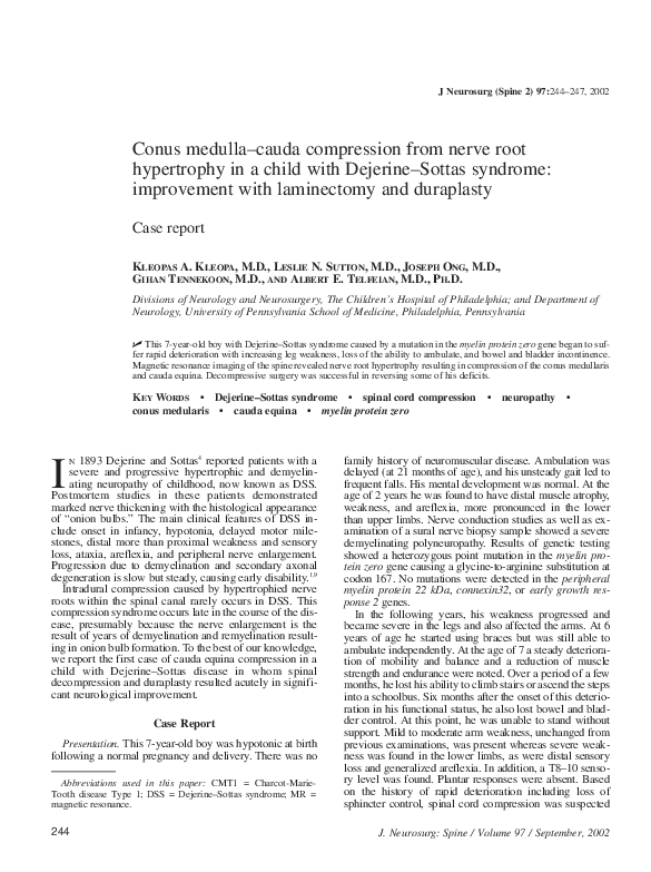 (PDF) Conus medulla—cauda compression from nerve root hypertrophy in a ...