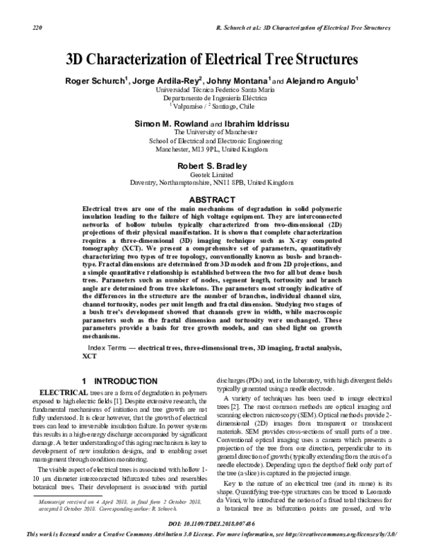 (PDF) 3D characterization of electrical tree structures