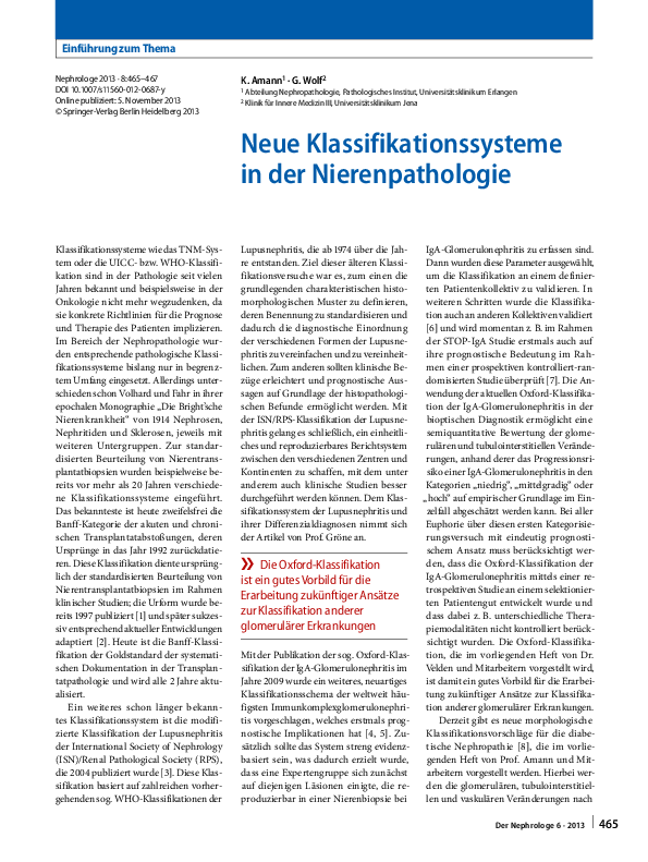 (PDF) Neue Klassifikationssysteme in der Nierenpathologie | Gunter Wolf ...