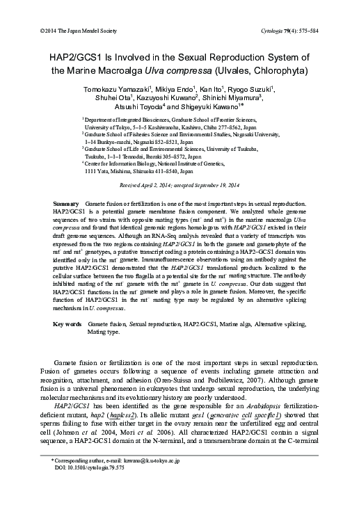 (PDF) HAP2/GCS1 Is Involved in the Sexual Reproduction System of the ...