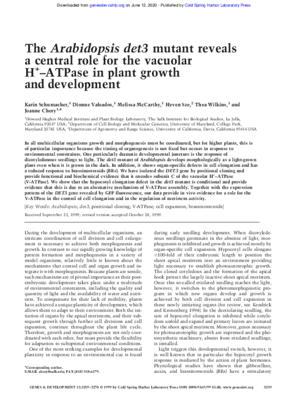 (PDF) The Arabidopsis det3 mutant reveals a central role for the ...