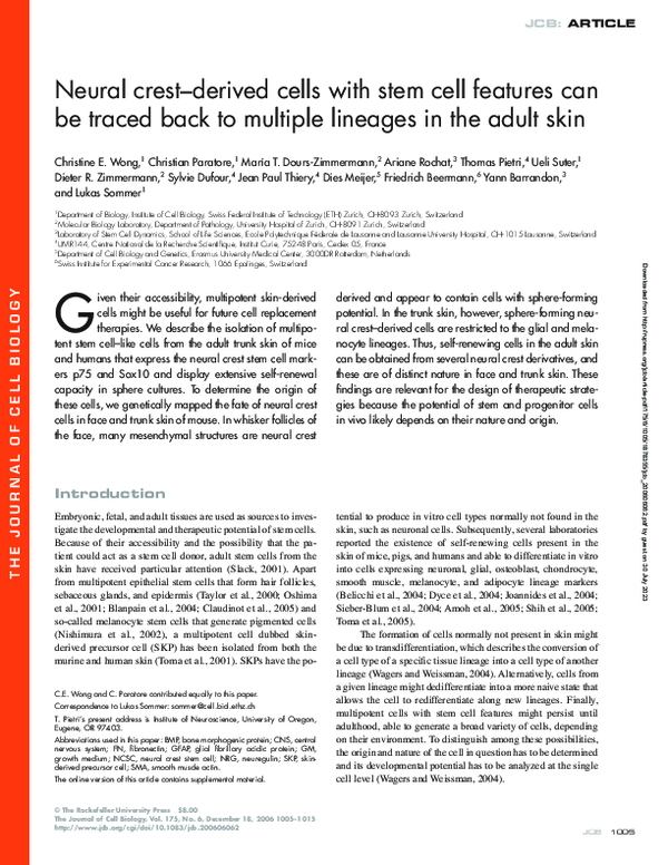 (PDF) Neural crest–derived cells with stem cell features can be traced ...