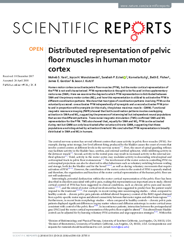(PDF) Distributed representation of pelvic floor muscles in human motor ... (PDF) Distributed representation of pelvic floor muscles in human motor ...