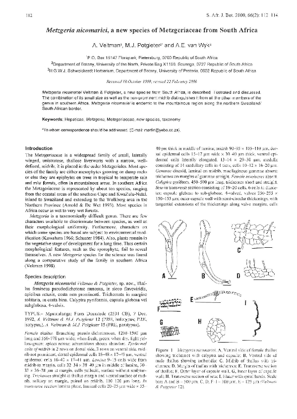 (PDF) Metzgeria nicomariei, a new species of Metzgeriaceae from South ...