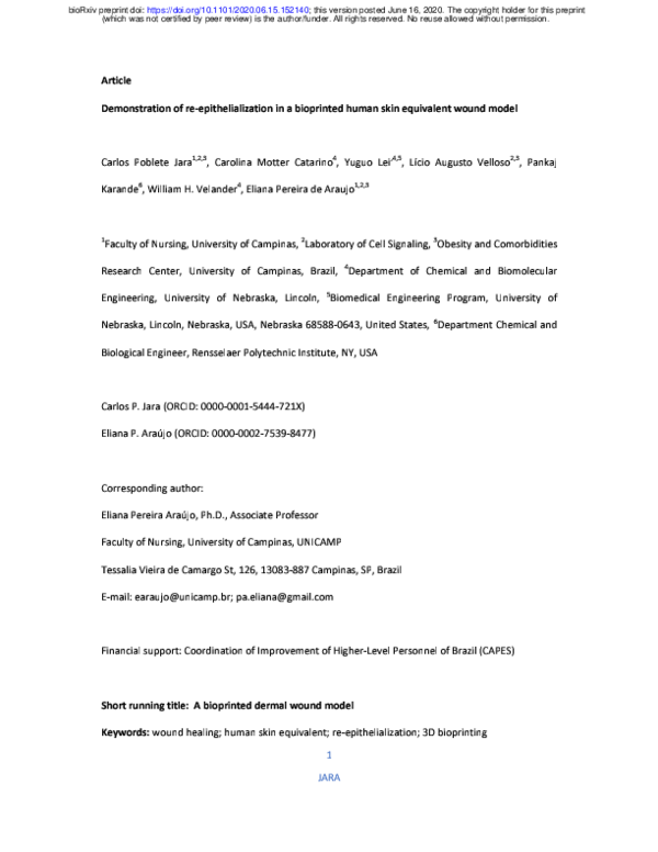 (PDF) Demonstration of re-epithelialization in a bioprinted human skin ...