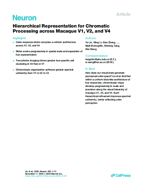 (PDF) Hierarchical Representation for Chromatic Processing across Macaque V1, V2, and V4