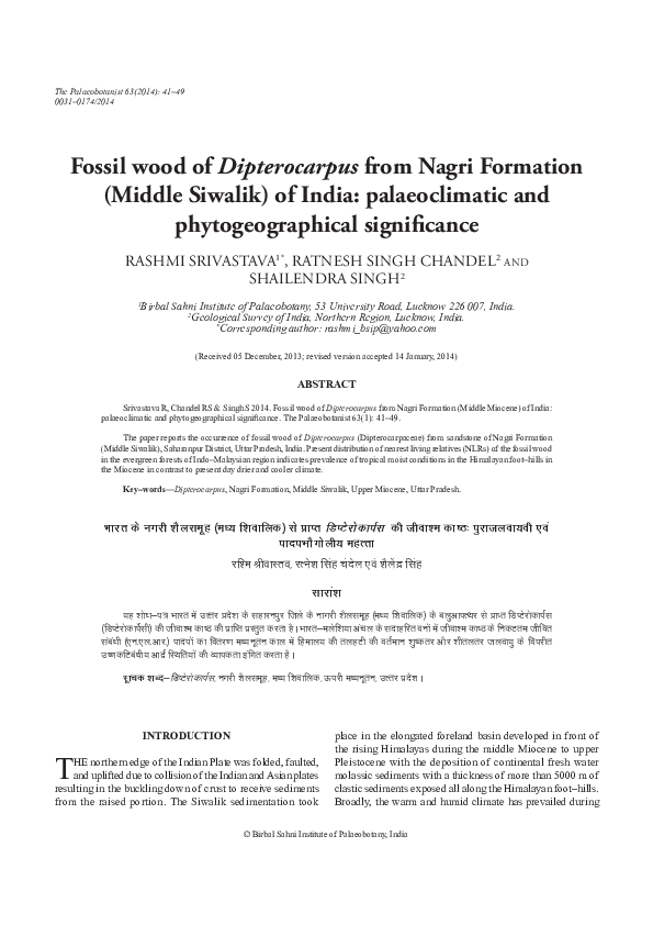 (PDF) Fossil wood of Dipterocarpus from Nagri Formation (Middle Siwalik ...
