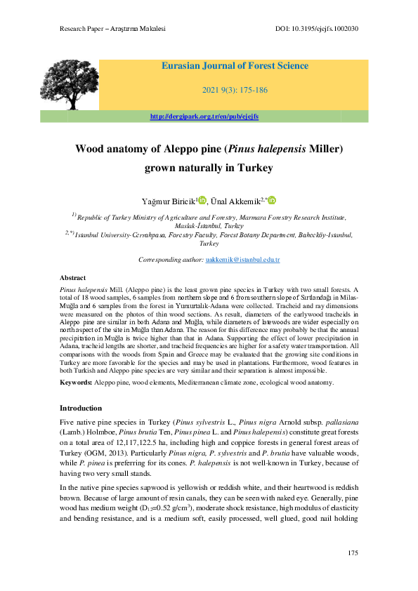 (PDF) Wood anatomy of Aleppo pine (Pinus halepensis Miller) grown ...