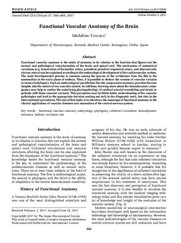 (PDF) Functional Vascular Anatomy of the Brain