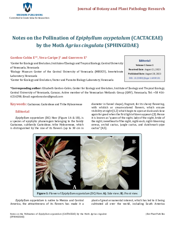 (PDF) Notes on the Pollination of Epiphyllum oxypetalum (CACTACEAE) by ...