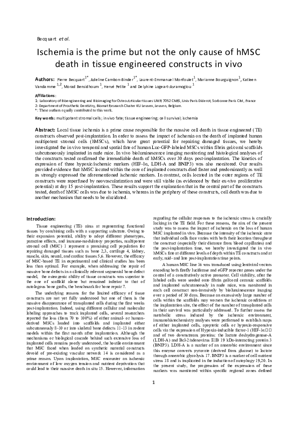 (PDF) Ischemia Is the Prime but Not the Only Cause of Human Multipotent ...
