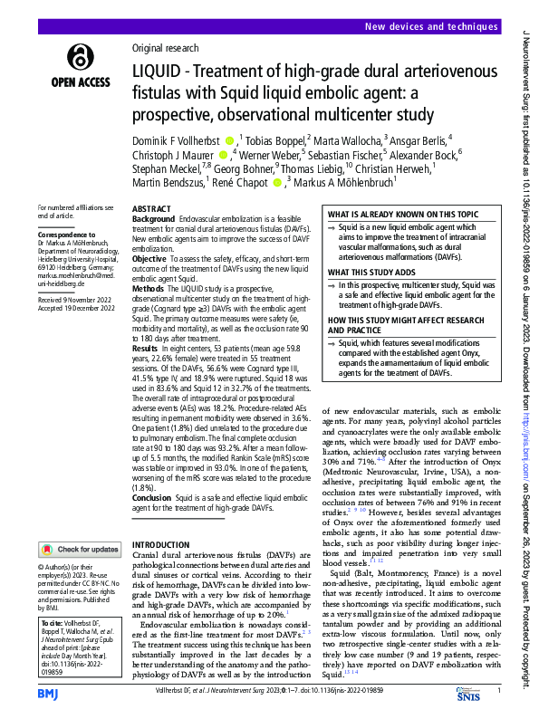 (PDF) LIQUID - Treatment of high-grade dural arteriovenous fistulas ...
