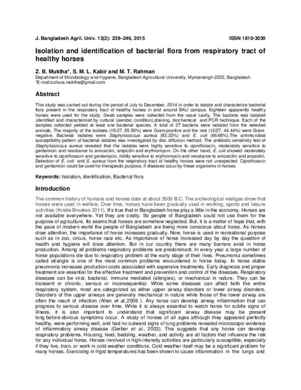 (PDF) Isolation and Identification of Bacterial Flora from Internal ...