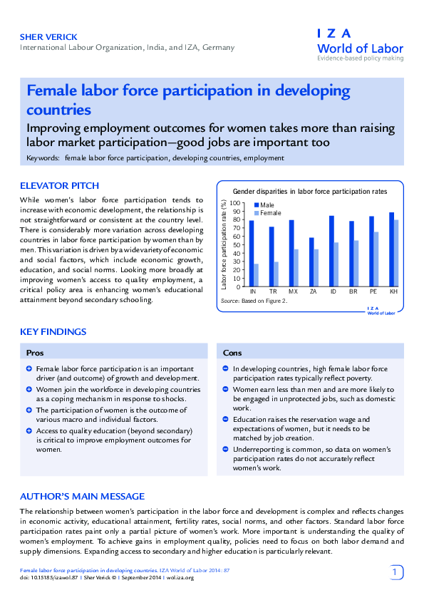 Female Labor Force Participation In Developing Countries