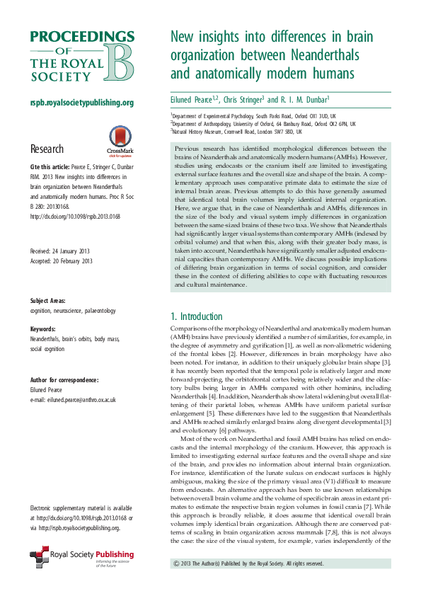(PDF) New insights into differences in brain organization between ...
