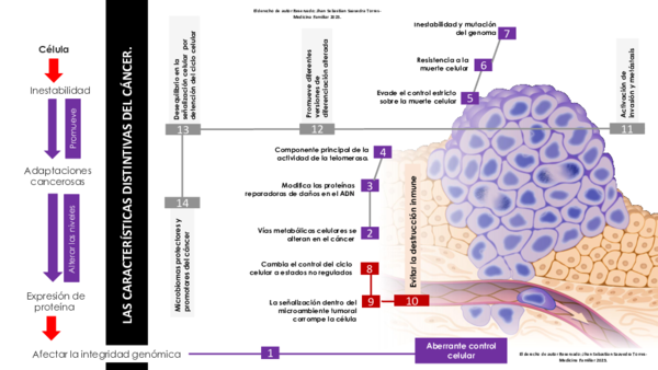 (PDF) RESUMEN DE LAS CARACTERISTICAS DISTINTIVAS DEL CANCER