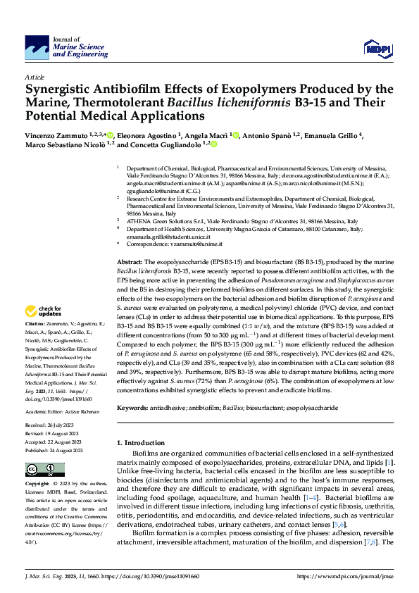 (PDF) Synergistic Antibiofilm Activity of Bacillus licheniformis Exopolymers