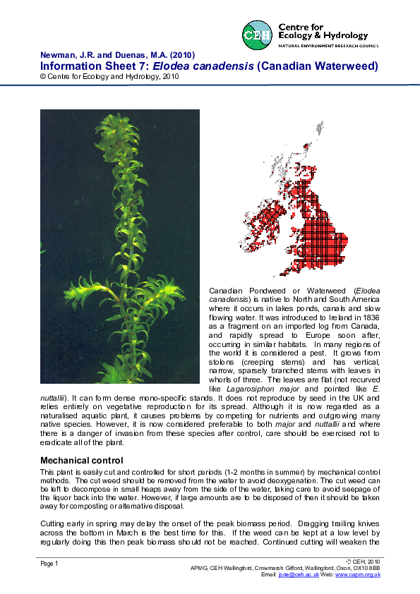 (PDF) Information Sheet 7: Elodea canadensis (Canadian waterweed)