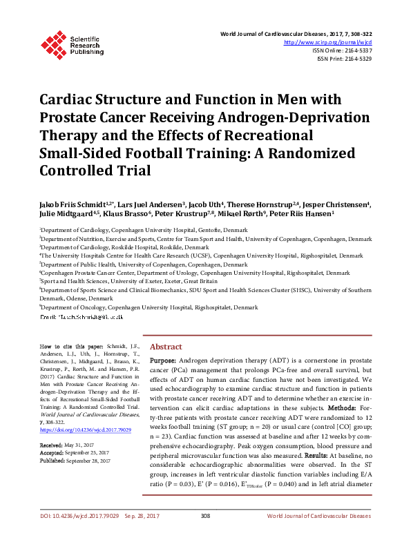 (PDF) Cardiac Structure and Function in Men with Prostate Cancer ...