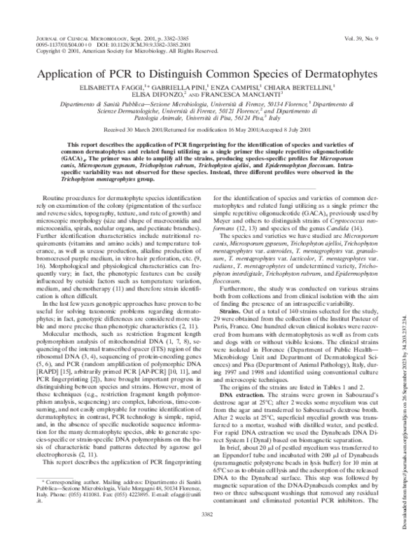 (PDF) Application of PCR to Distinguish Common Species of Dermatophytes