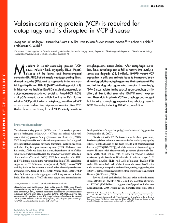 (PDF) Valosin-containing protein (VCP) is required for autophagy and is ...