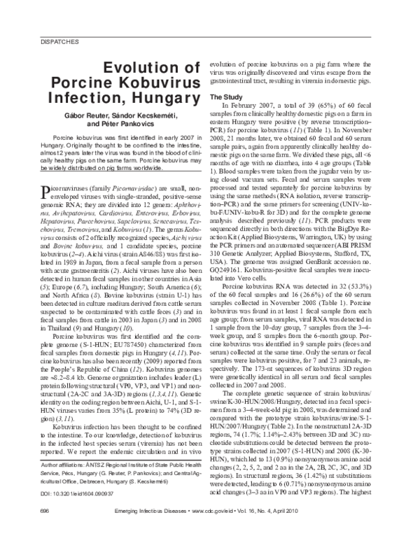 (PDF) DISPATCHES Evolution of Porcine Kobuvirus