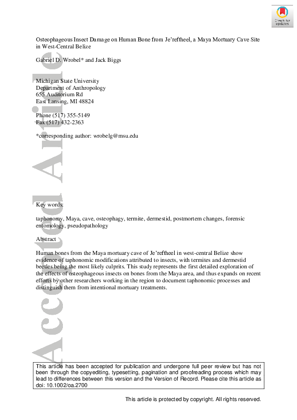 (PDF) Osteophageous insect damage on human bone from Je'reftheel, a ...