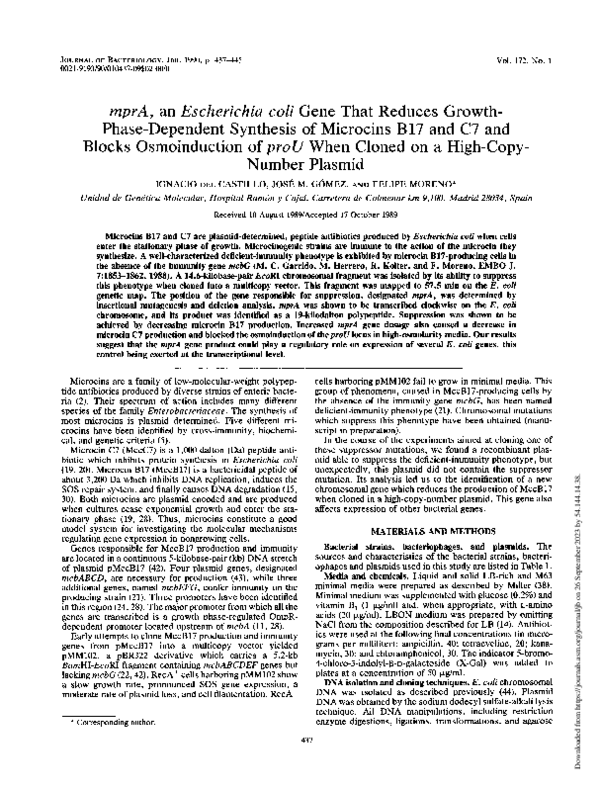 (PDF) mprA, an Escherichia coli gene that reduces growth-phase ...