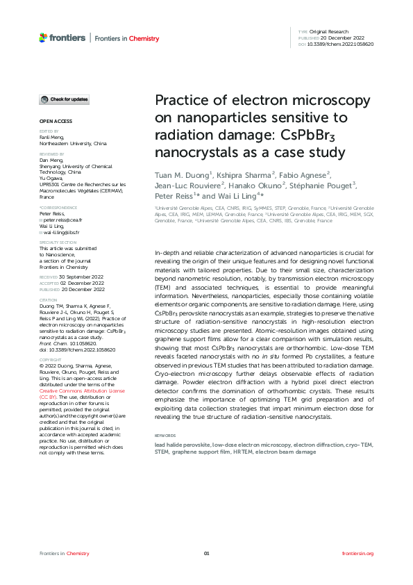 (PDF) Practice of electron microscopy on nanoparticles sensitive to ...