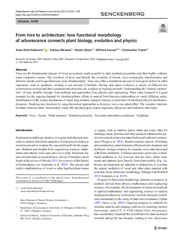 (PDF) From tree to architecture: how functional morphology of ...