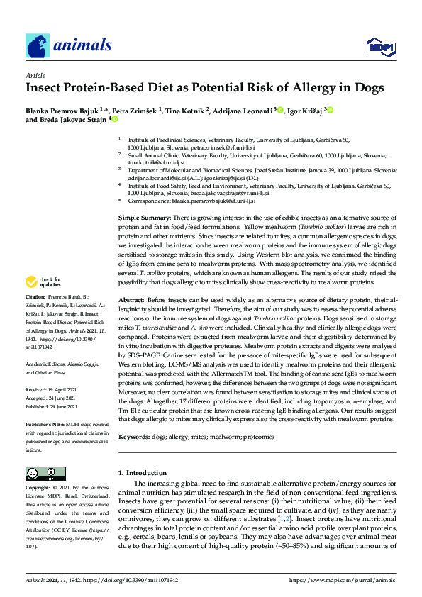 (PDF) Insect Protein-Based Diet as Potential Risk of Allergy in Dogs