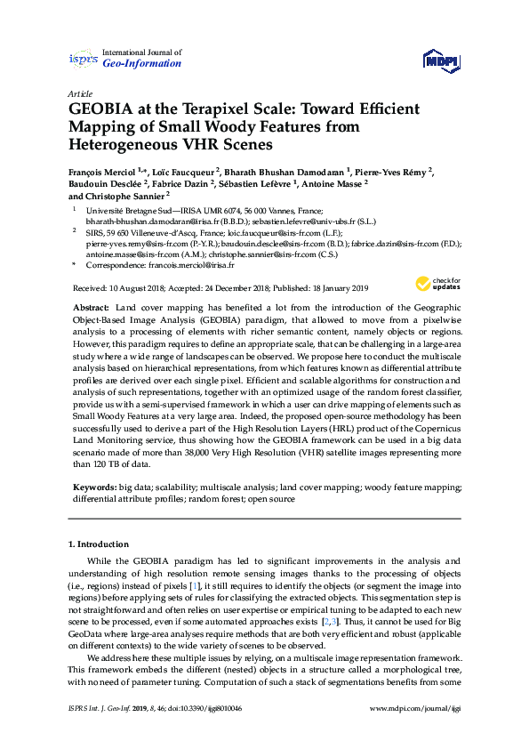 (PDF) GEOBIA at the Terapixel Scale: Toward Efficient Mapping of Small ...