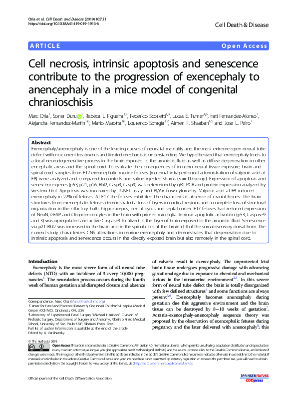 (PDF) Cell necrosis, intrinsic apoptosis and senescence contribute to ...