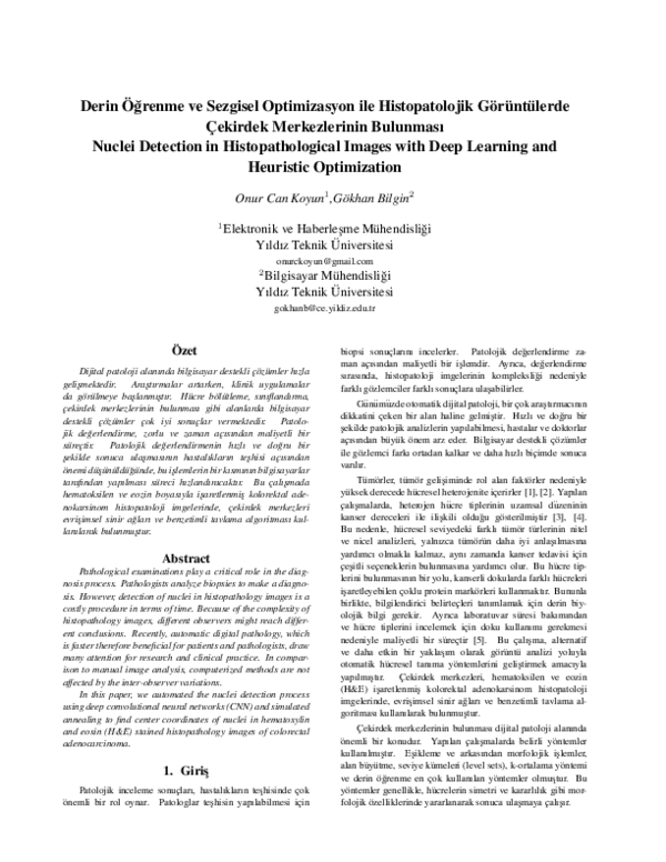 (PDF) Nuclei Detection in Histopathological Images with Deep Learning and Heuristic Optimization