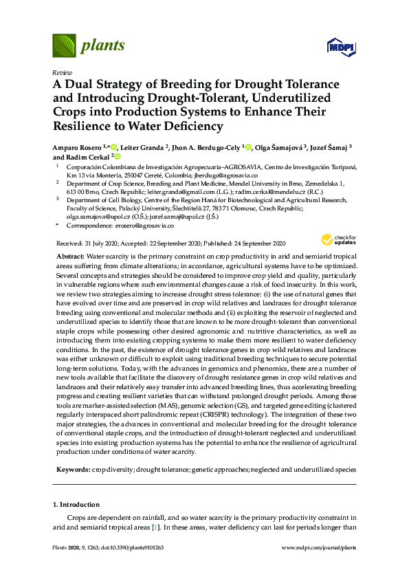 (PDF) A Dual Strategy of Breeding for Drought Tolerance and Introducing ...