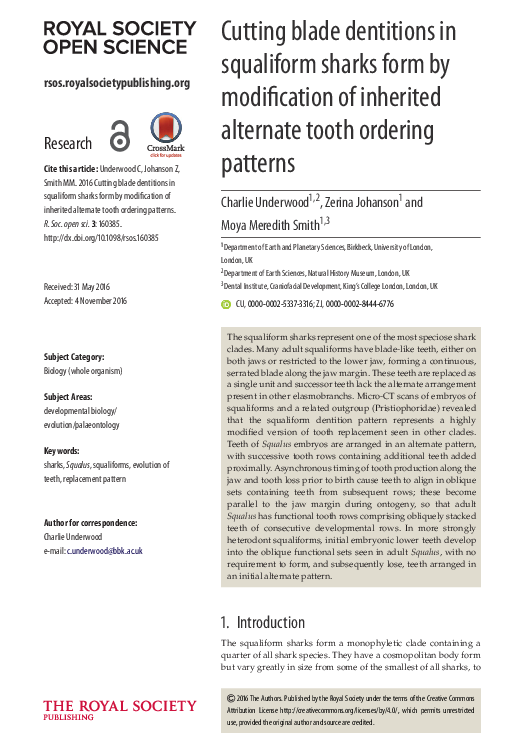 (PDF) Cutting blade dentitions in squaliform sharks form by ...