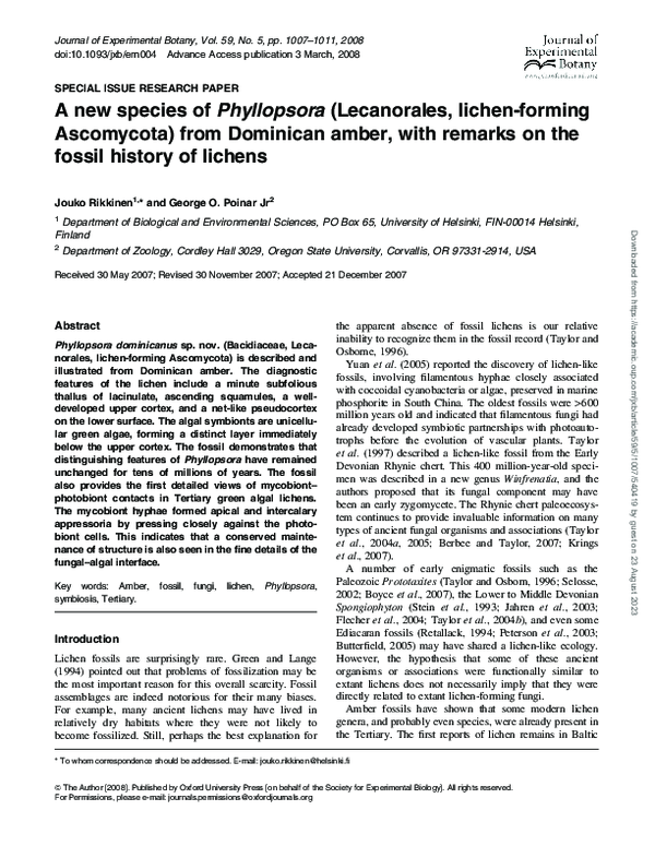 (PDF) A new species of Phyllopsora (Lecanorales, lichen-forming ...