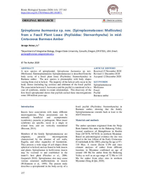 (PDF) Spiroplasma burmanica sp. nov. (Spiroplasmataceae: Mollicutes ...