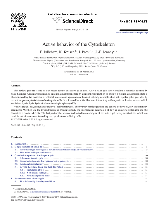 (PDF) Active behavior of the Cytoskeleton