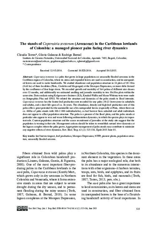 (PDF) Poblaciones de Copernicia tectorum (Arecaceae) en las tierras ...