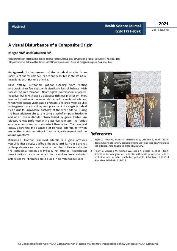 (PDF) A visual Disturbance of a Composite Origin