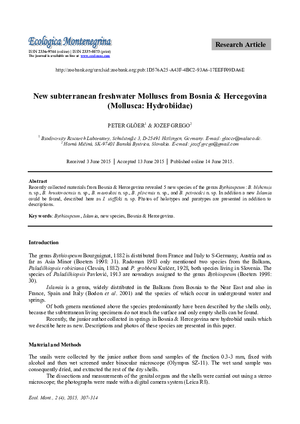 (PDF) New Subterranean Freshwater Molluscs from Bosnia & Hercegovina (Mollusca: Hydrobiidae)