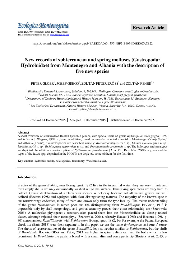 (PDF) New Records of Subterranean and Spring Molluscs (Gastropoda: Hydrobiidae) from Montenegro ...